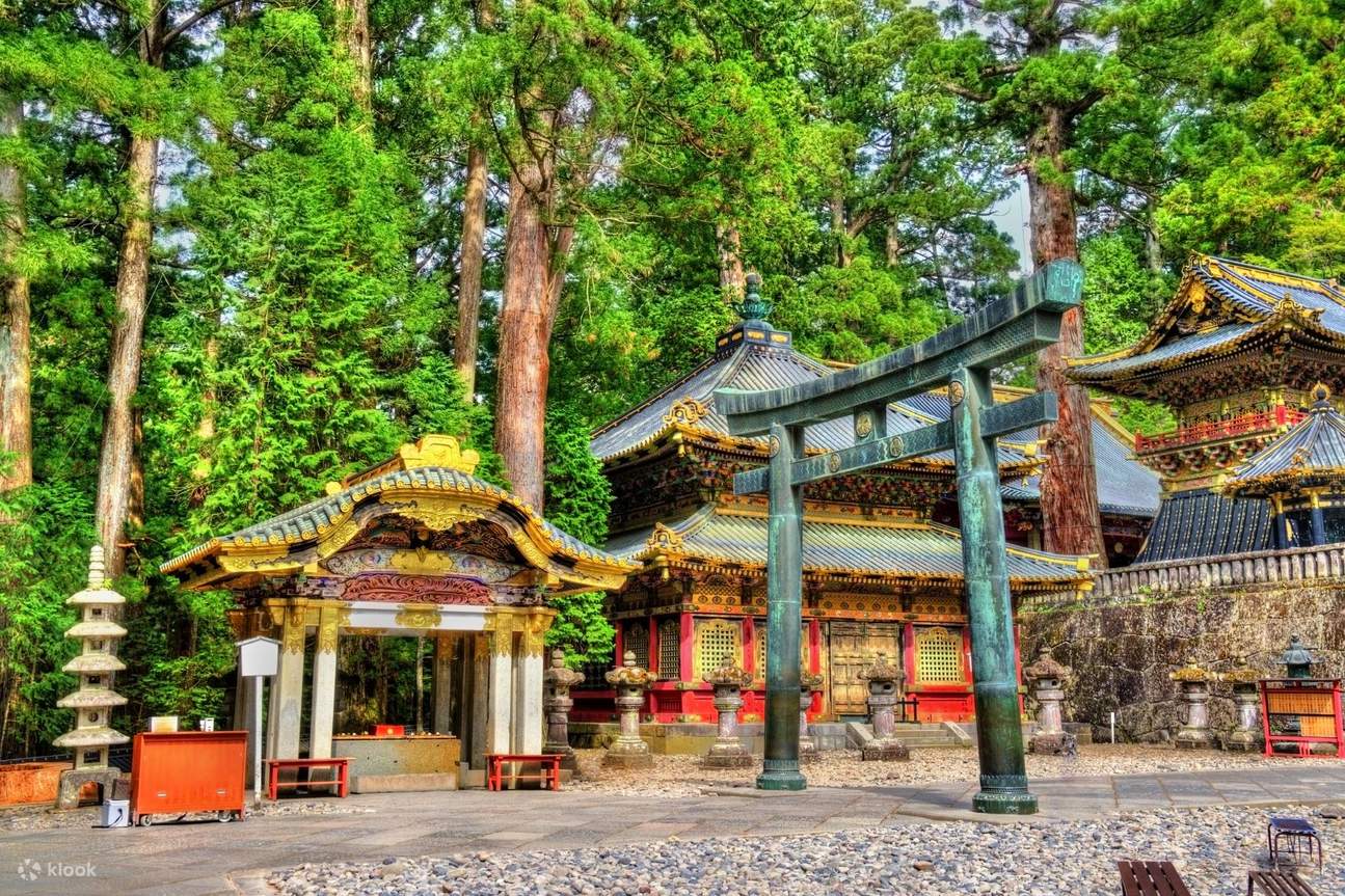 [Nikko one-day maple viewing tour] Nikko Toshogu Shrine & Momiji Saka ...